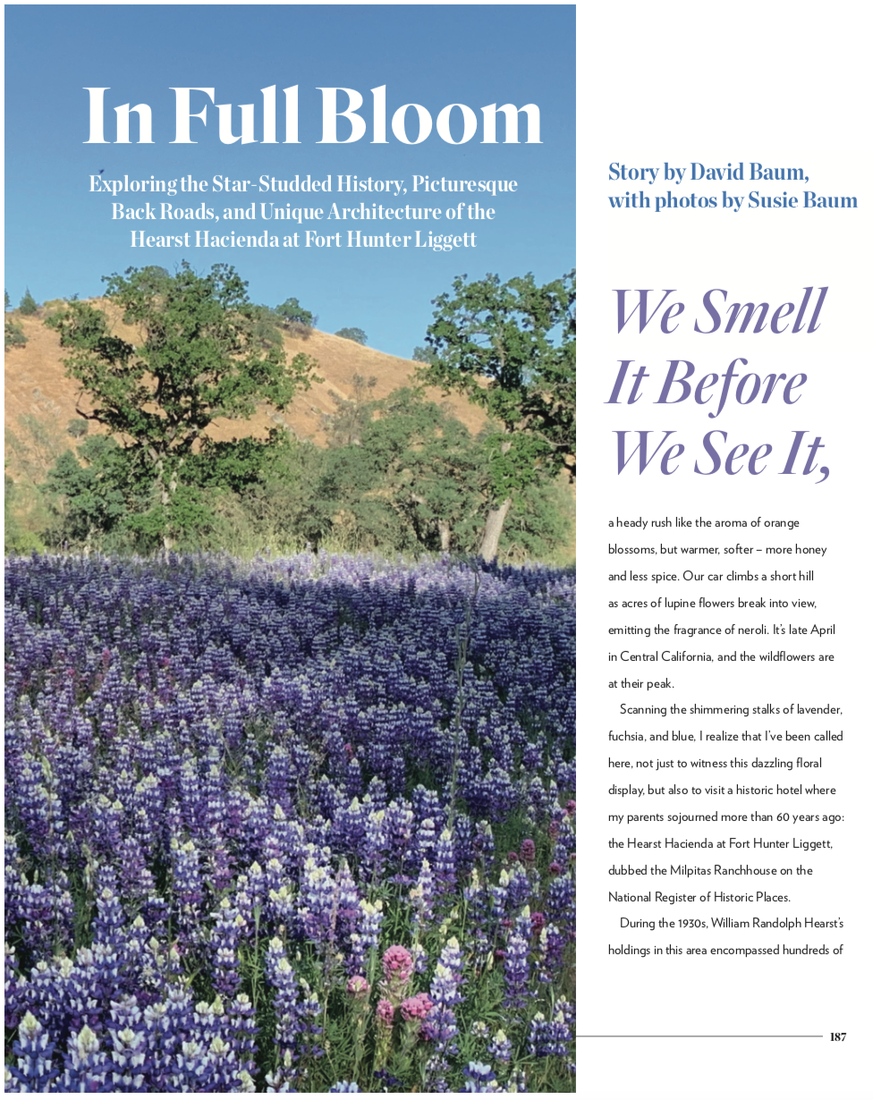In Full Bloom – David Baum – Author